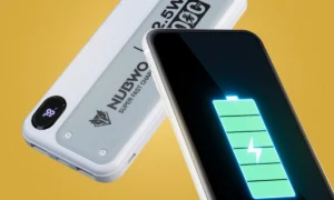 WEB_NBL13_3_1 – NUBWO